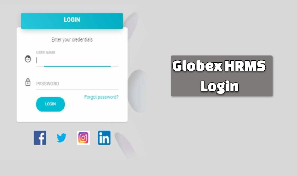 Globex HRMS Login: Features and Benefits - The Behind Story